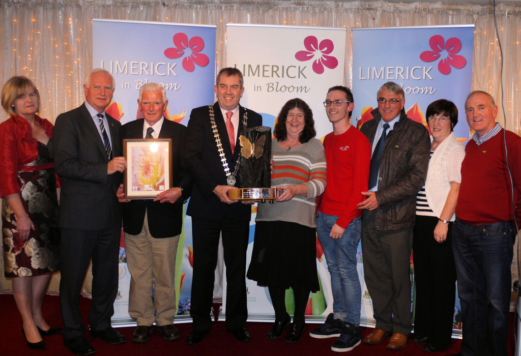 Limerick.com | The Pulse of Limerick: News People Events Community